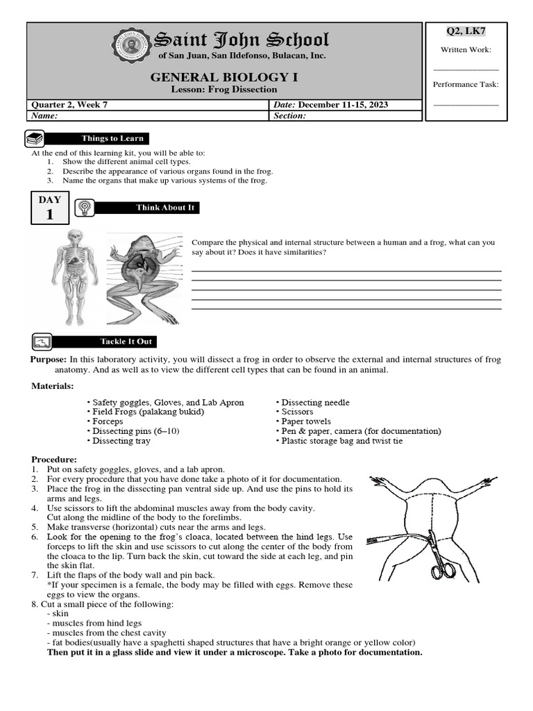 GENBIO W7 Frog Dissection | PDF | Small Intestine | Stomach