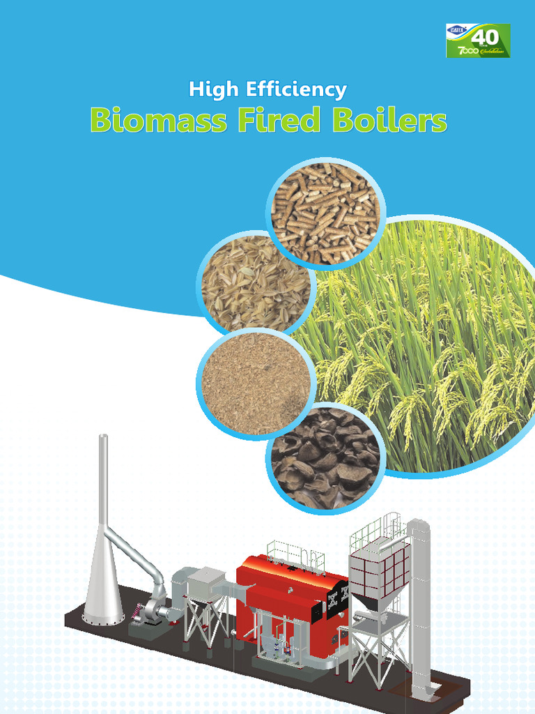 Biomass boilers | PDF