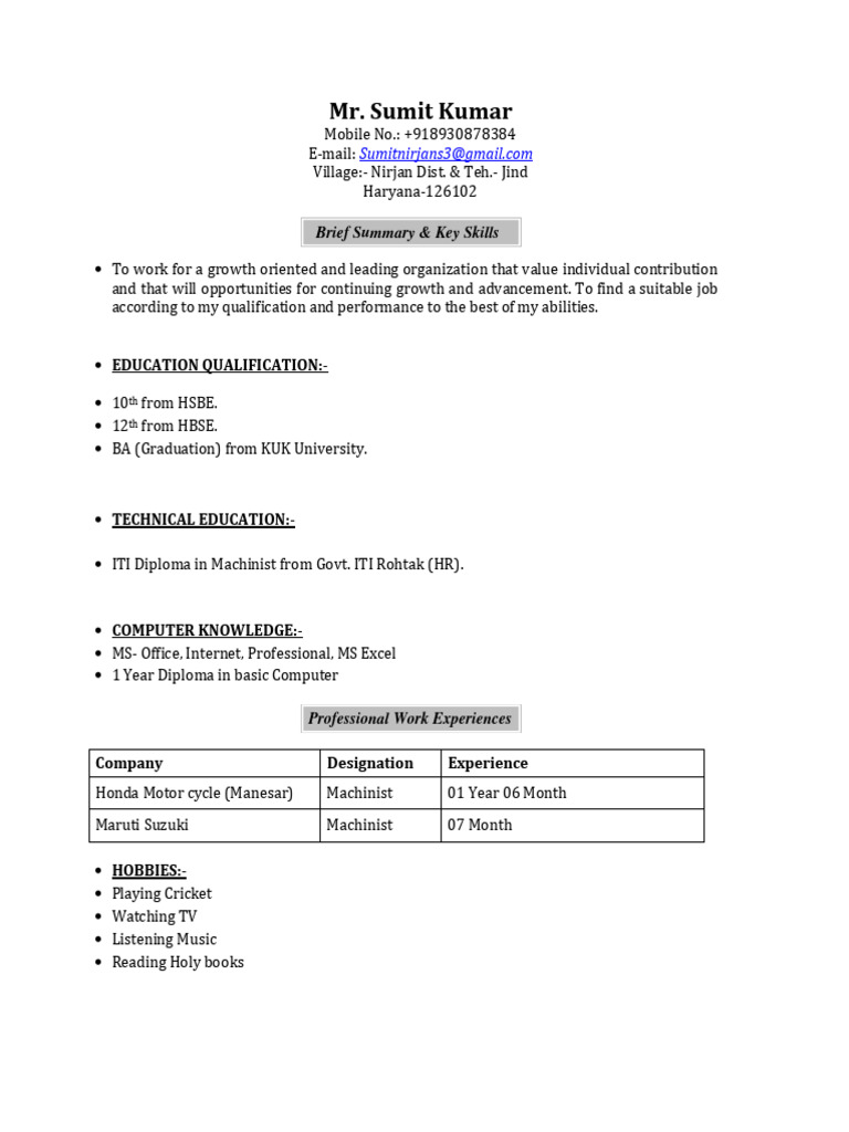 Resume SUMIT | PDF