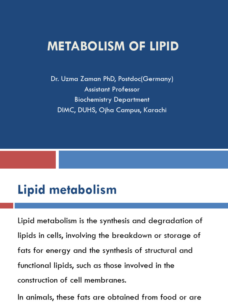 Metabolism of Lipid | PDF | Lipid | Lipoprotein