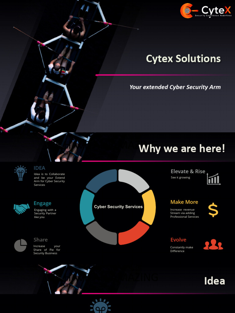 Cytex Services | PDF | Computer Security | Security