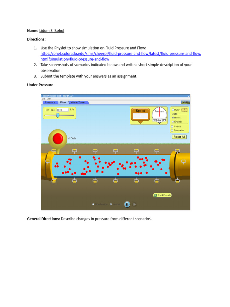 BOHOL - Activity 3. Flow Rate and Bernoulli Principle | PDF | Fluid ...