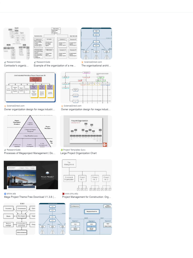Organization For Mega Project at Site - Penelusuran Googless | PDF