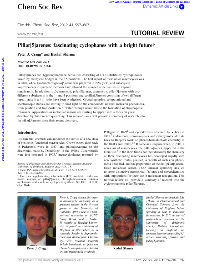 2012 - Fascinating Cyclophanes With A Bright Futurew Peter J. Cragg and ...