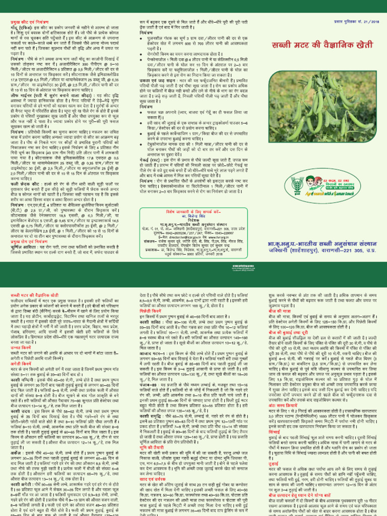 Pea Complete | PDF