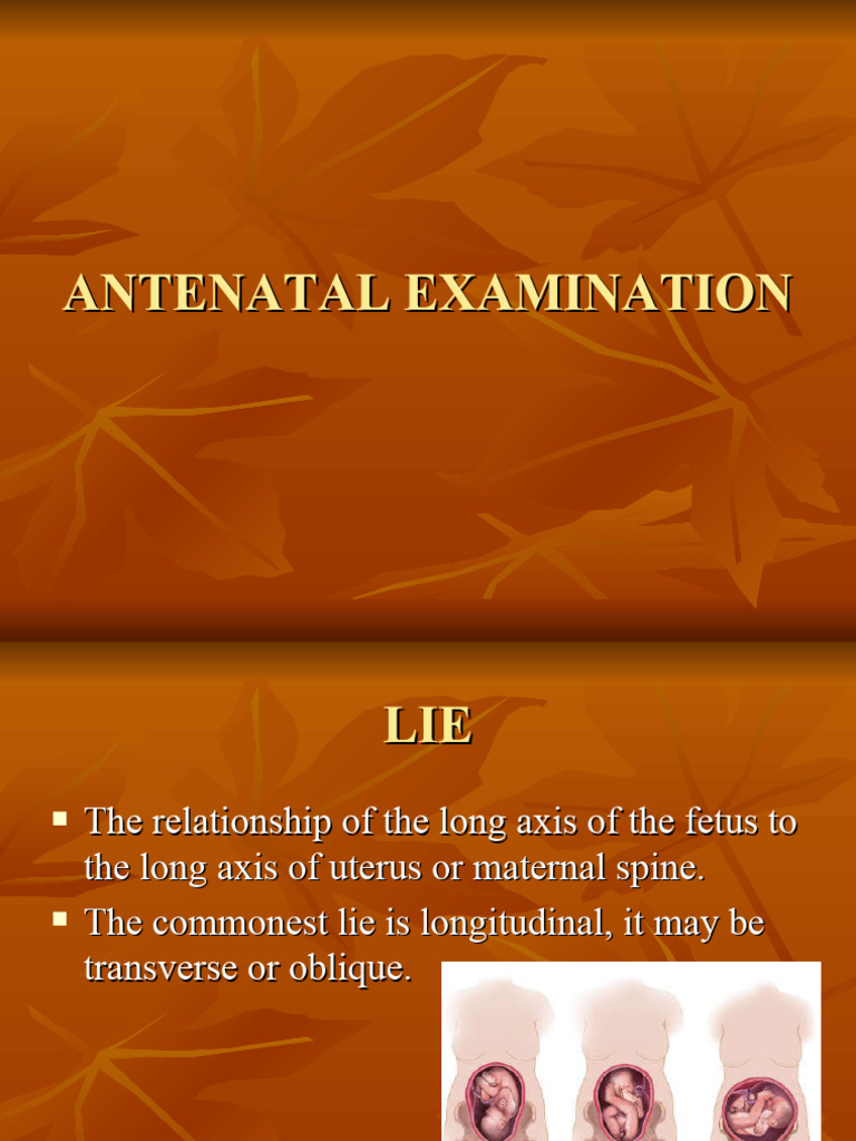 Antenatal Examination | PDF | Uterus | Pelvis