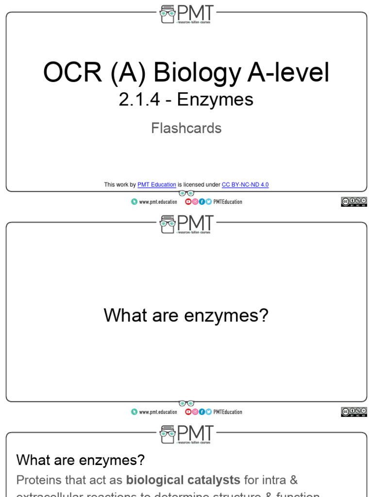 Enzymes - Flashcard Questions | PDF | Enzyme Inhibitor | Enzyme