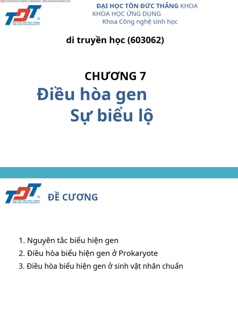 Chapter 7.en - VI | PDF