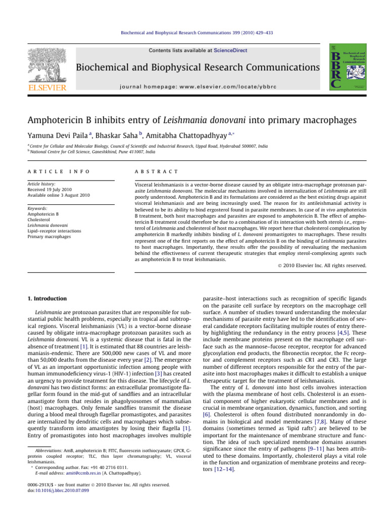 Amphotericin B Inhibits Entry of Leishmania Donovani Into Primary ...