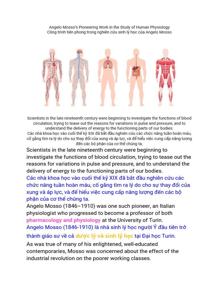 Angelo Mosso's Pioneering Work in The Study of Human Physiology | PDF