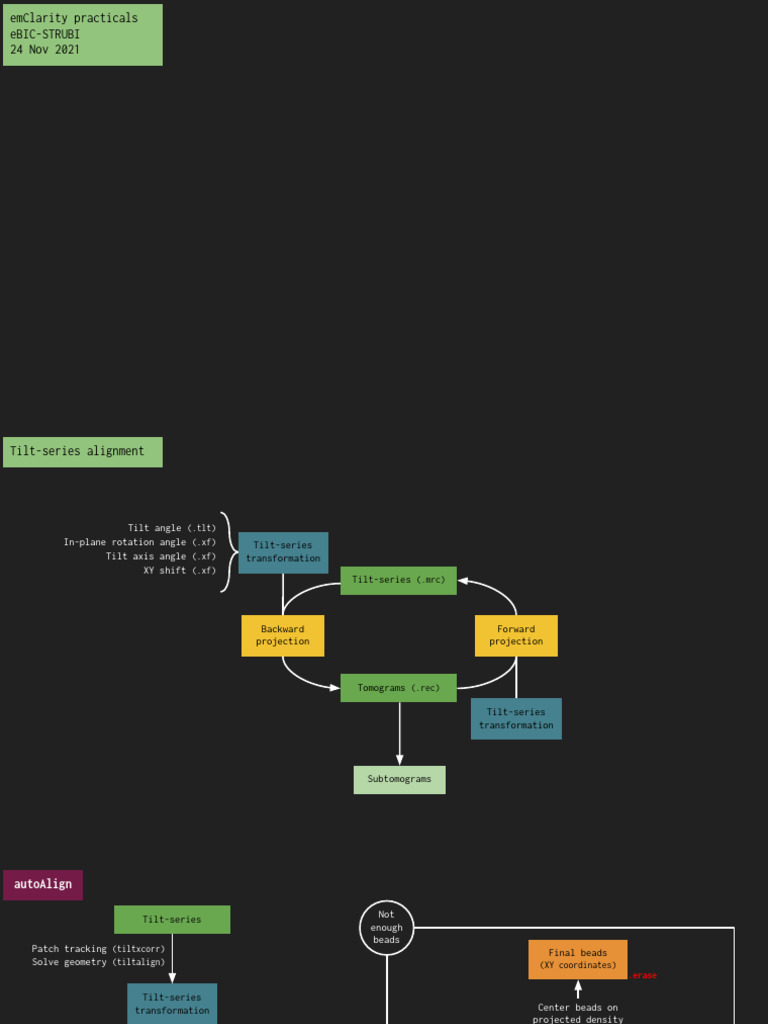 EmClarity Practicals 2021 Thomas Frosio | PDF | Principal Component Analysis | Imaging