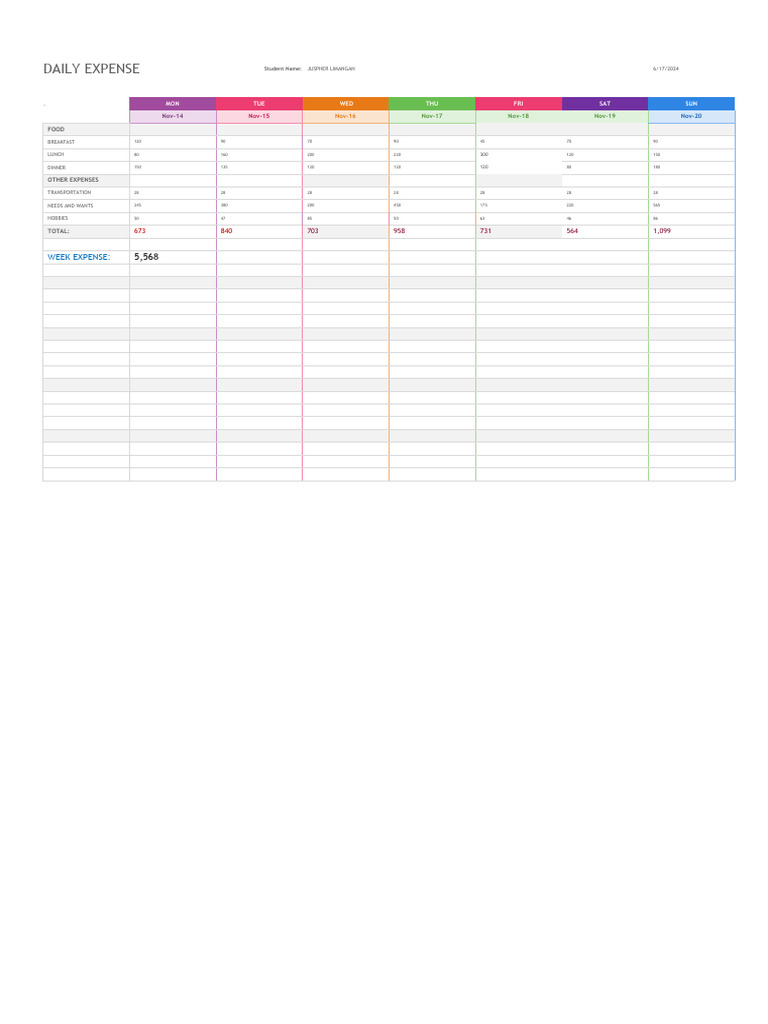 Daily Expense Tracking | PDF | Meal | Eating Behaviors Of Humans