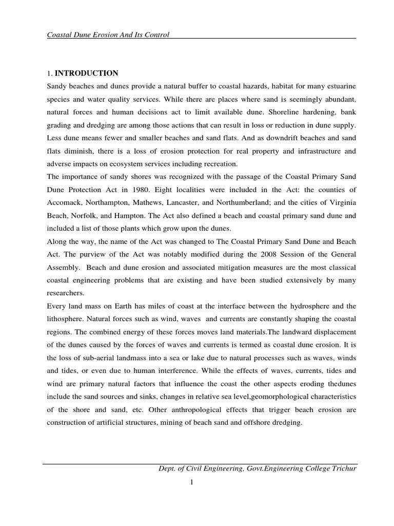 Coastal Dune Erosion and Mitigation Strategies | PDF | Beach | Dune