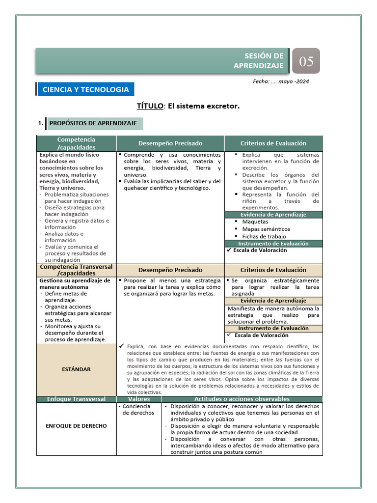 4° U3 Sem3 S5 Cyt-Sesion | PDF | Riñón