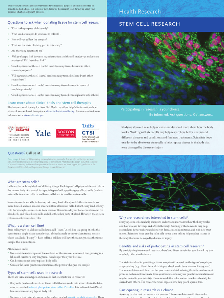 StemCell English LowResolution | PDF | Stem Cell | Embryonic Stem Cell