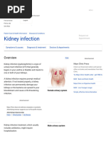 TARGET UTI Leaflet All Ages V1.1 DOC UKHSA | PDF | Urinary Tract ...
