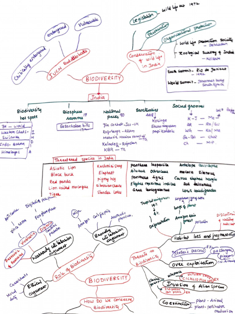 Biodiversity Mind Map | PDF