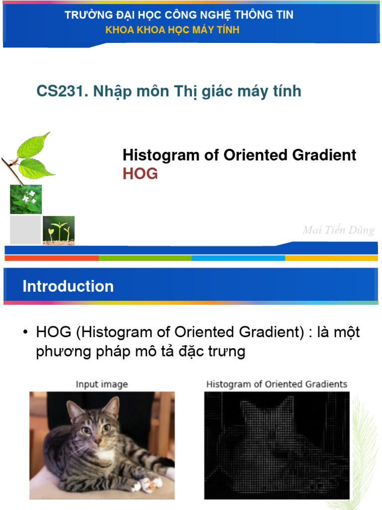 Bai05 Hog | PDF | Image Processing | Vision