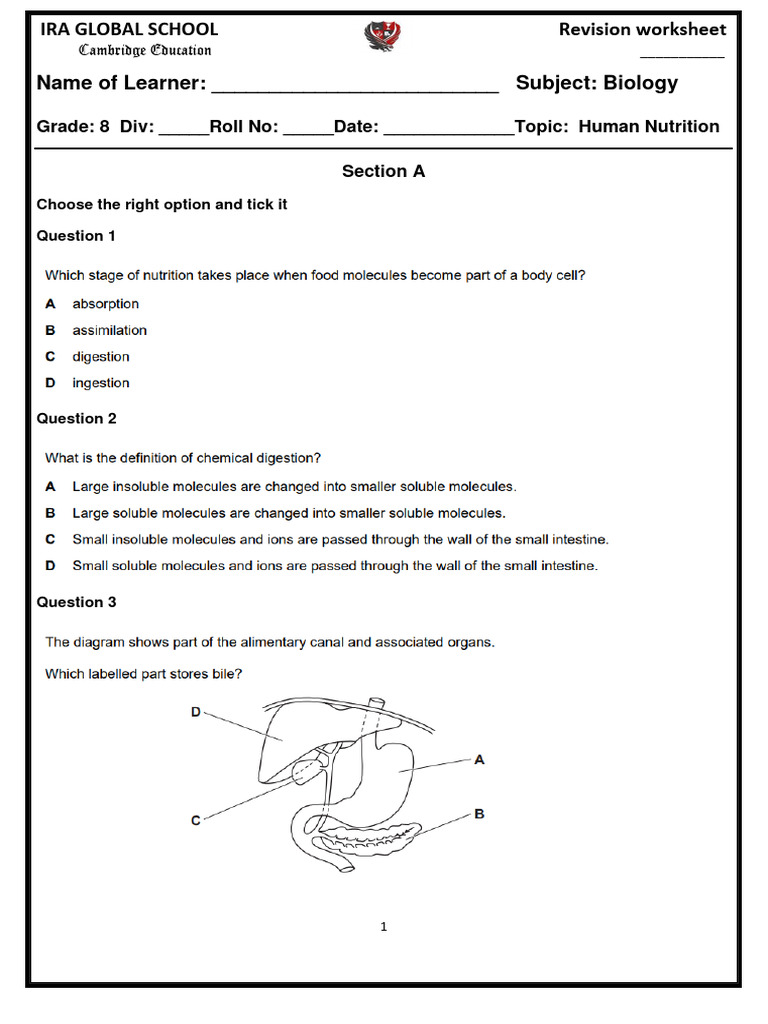 GR 8 Biology Revision WS | PDF