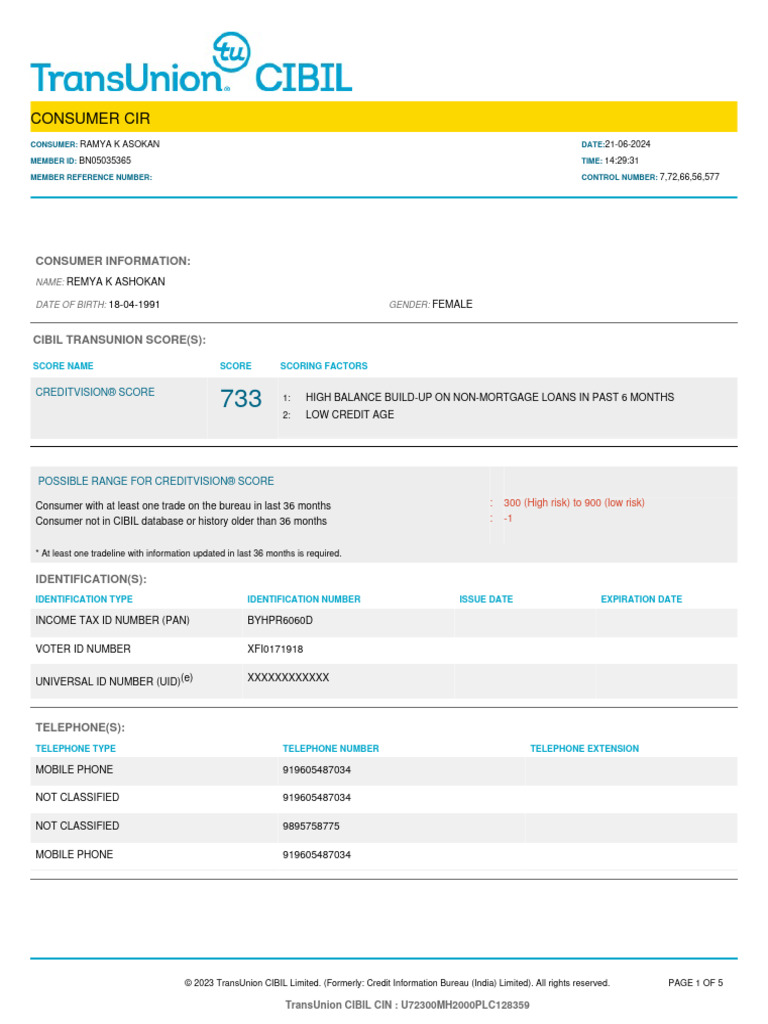 ReportPdfResponseServlet - 2024-06-21T142934.336 | PDF | Loans | Credit