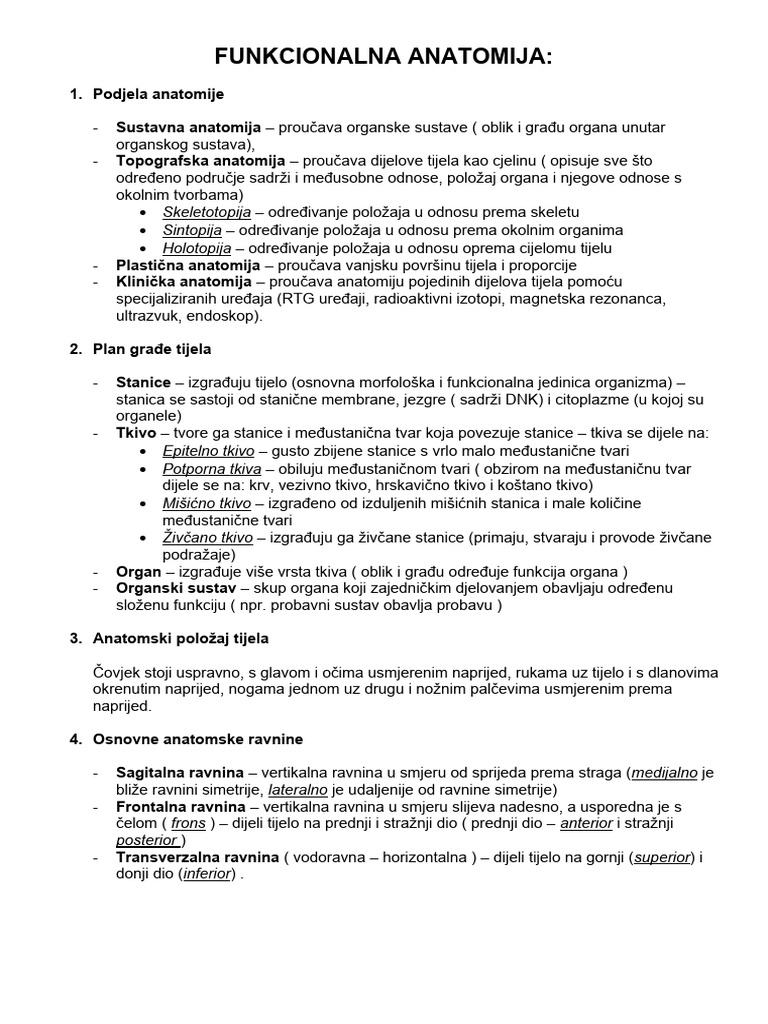 Anatomija - Skripta - Begić - Proširena | PDF