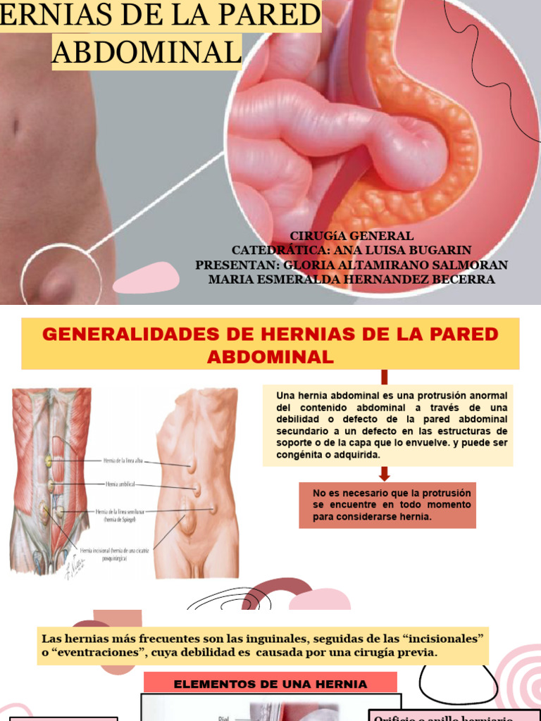 Hernias | PDF | Anatomía