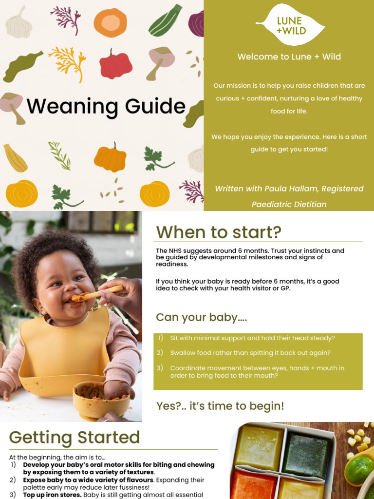 weaning_guide.pptx_1_1 | Download Free PDF | Foods | Vegetables