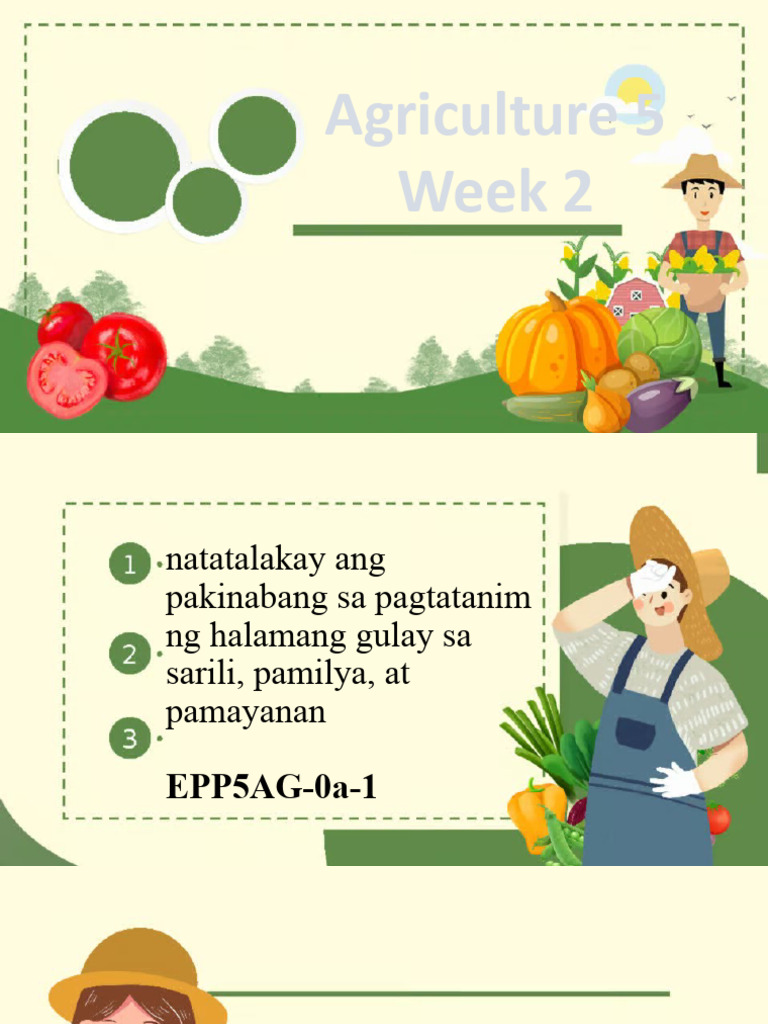 Agri5 Week2 Ang Pakinabang Sa Pagtatanim NG Halamang Gulay Sa Sarili | PDF
