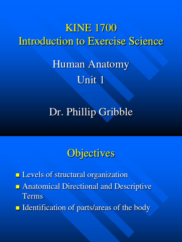 Human Anatomy Basics in Exercise Science | PDF | Wellness