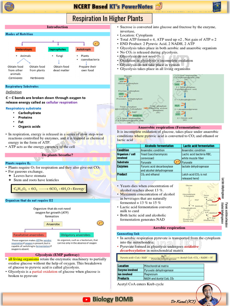 Respiration PowerNotes by KT Sir | PDF | Cellular Respiration | Diet ...