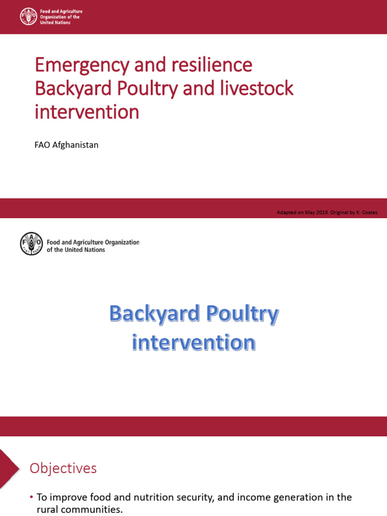 ERU Livestock | PDF | Animal Feed | Carbohydrates