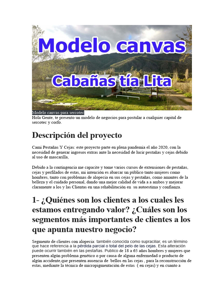 Modelo Canvas para Sercotec | PDF