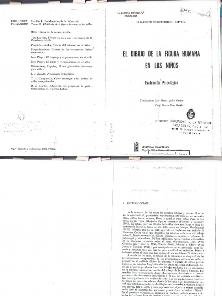 DFH Manual Teórico | PDF