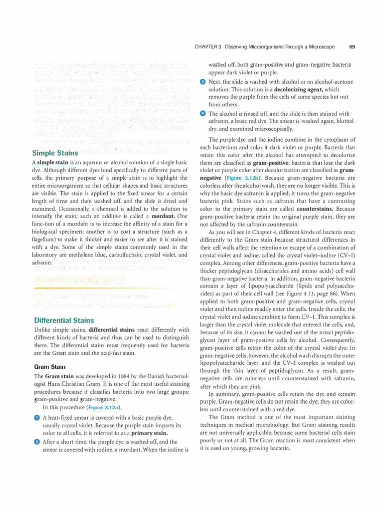 Lecture 04, Bacterial Stains | PDF | Staining | Biology