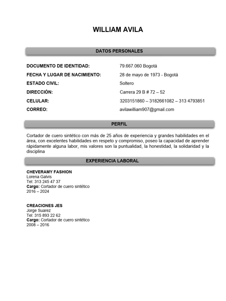 modelo de HOJA DE VIDA | PDF