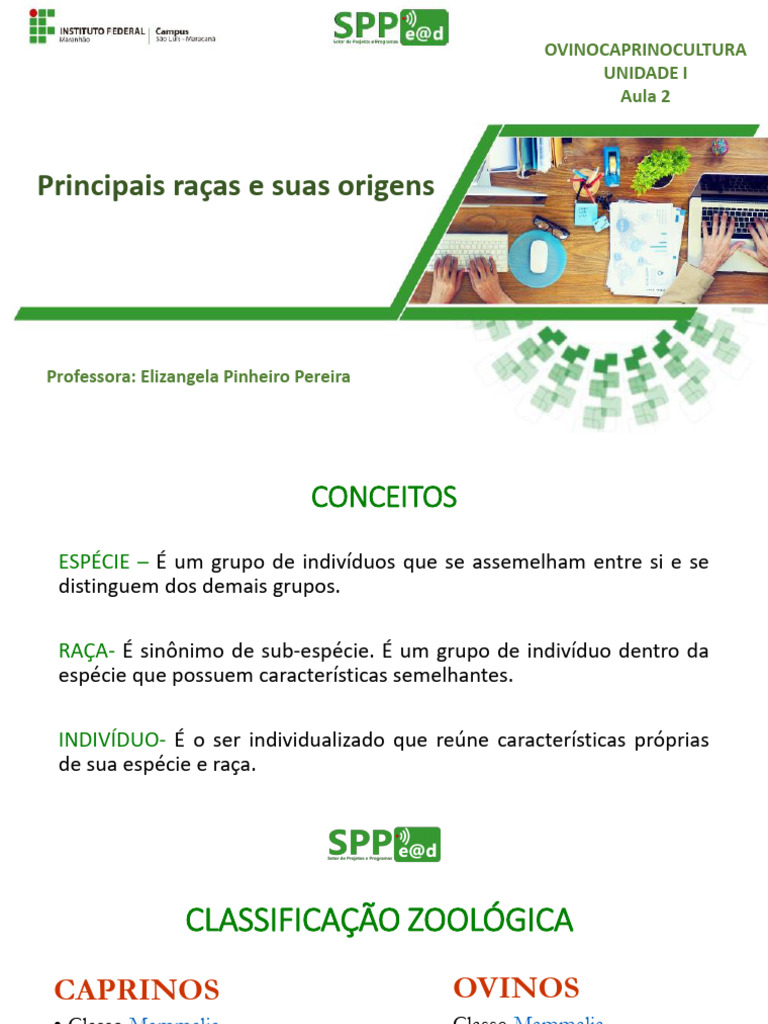 Aula 2 - Principais Raças | PDF | Ovelhas