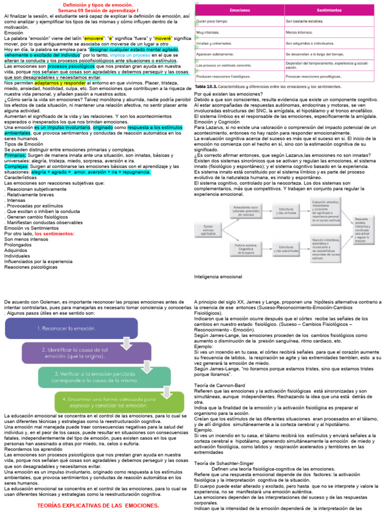 Resumen de Motivación y Emoción | PDF | Las emociones | Ansiedad