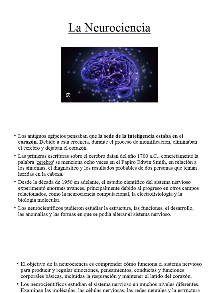 La Neurociencia | PDF | Neurociencia | Cerebro