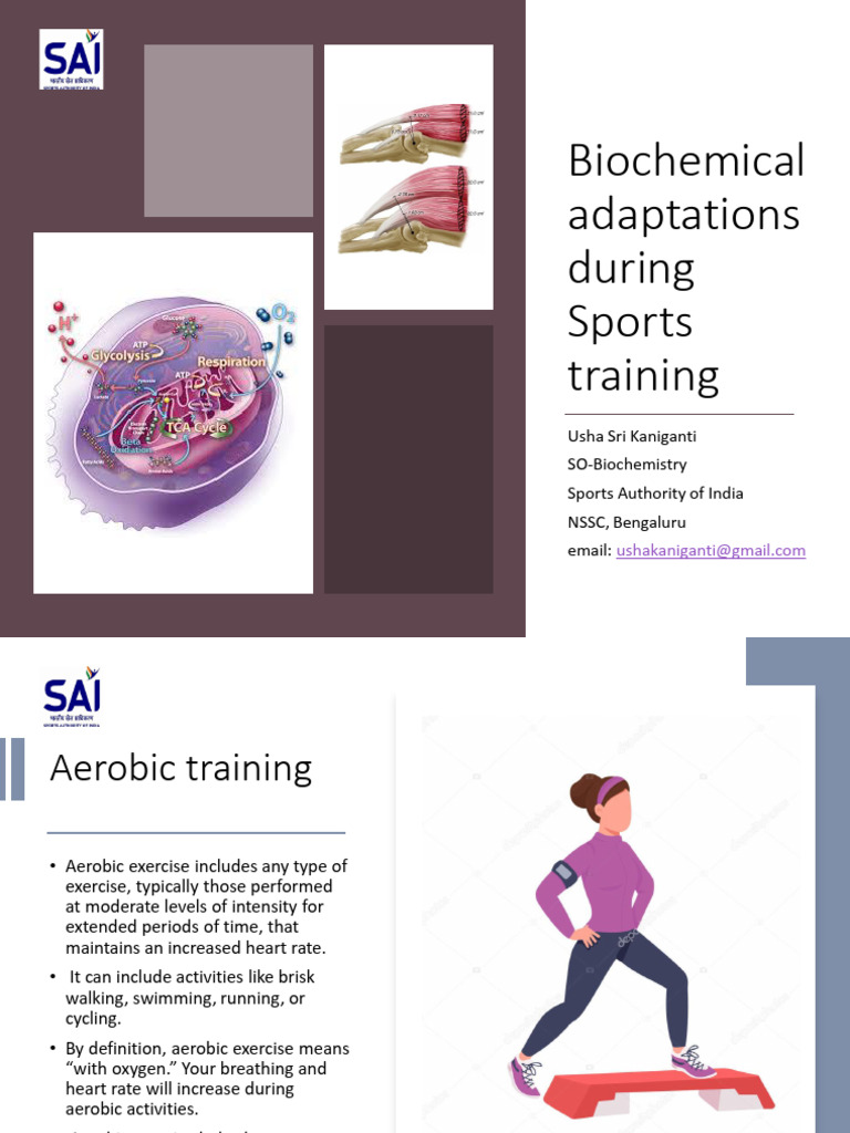 Biochemical Adaptations During Sports Training | PDF | Cortisol | Hormone
