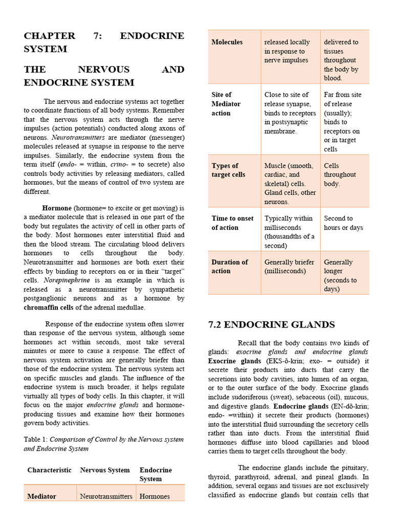 Endo | PDF | Adrenal Gland | Adrenocorticotropic Hormone