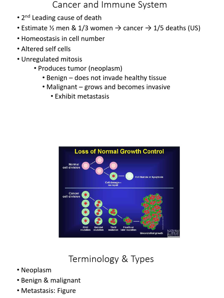 Cancer final | Download Free PDF | Immune System | Cancer