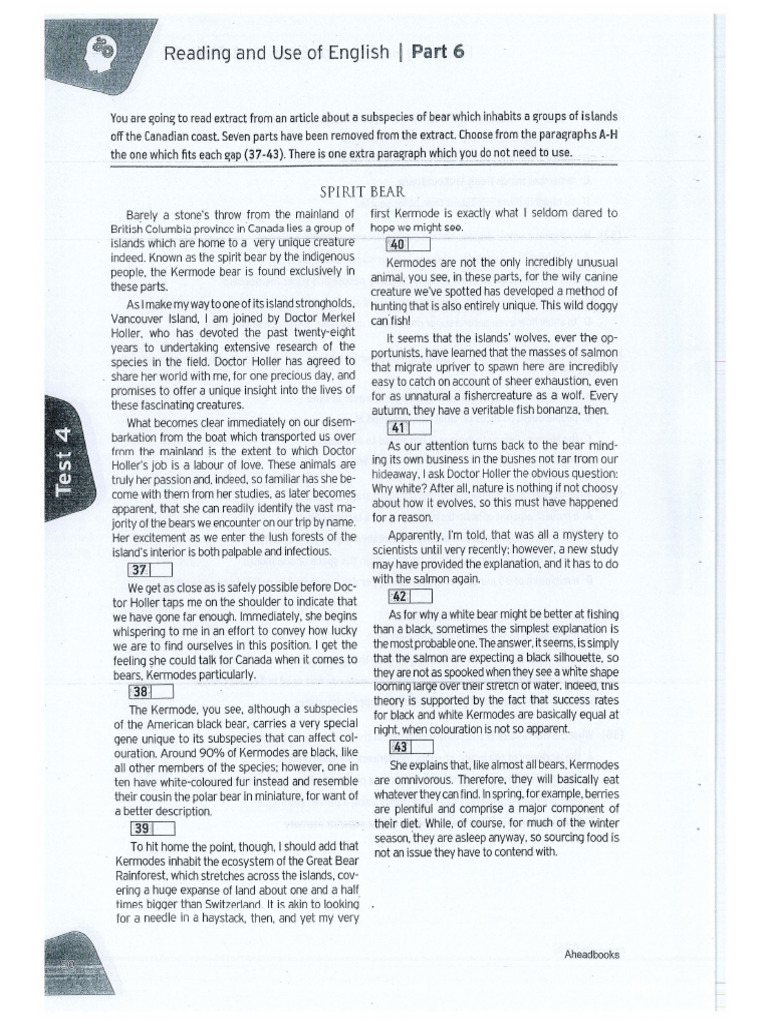 Gapped Text Ahead With Cpe | PDF