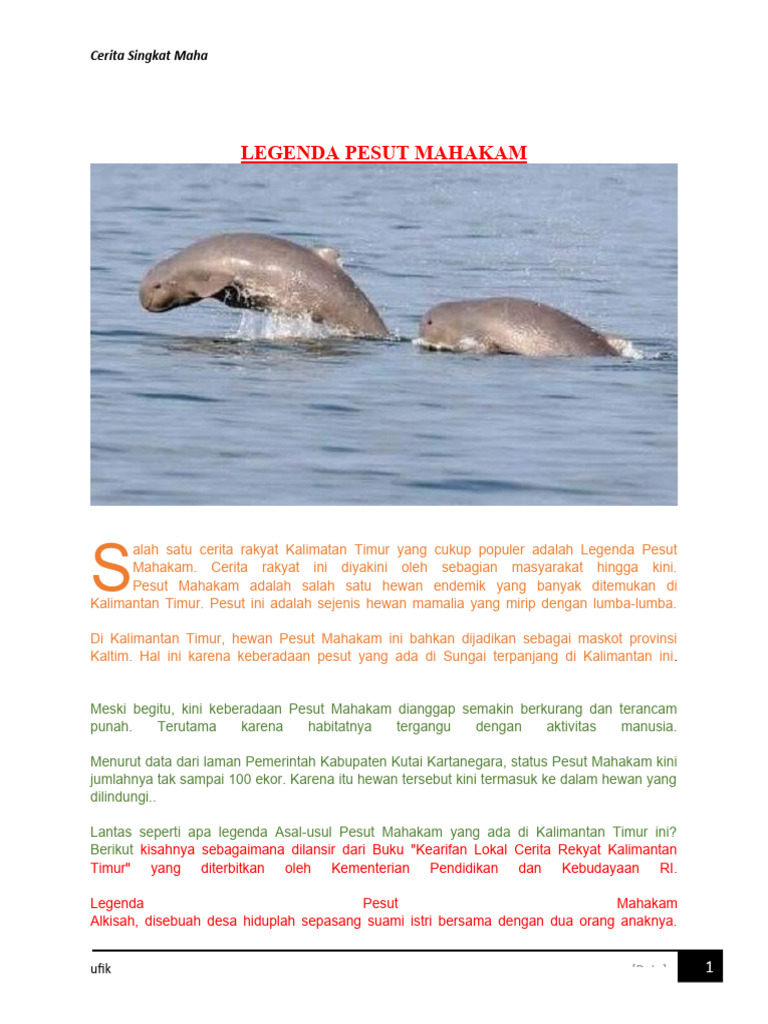 Legenda Asal Usul Pesut Mahakam | PDF
