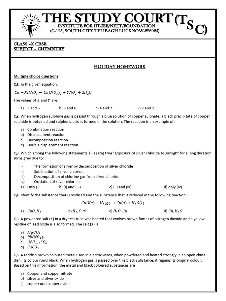 Class 10 Holiday Homework Chemistry | Download Free PDF | Chemical ...