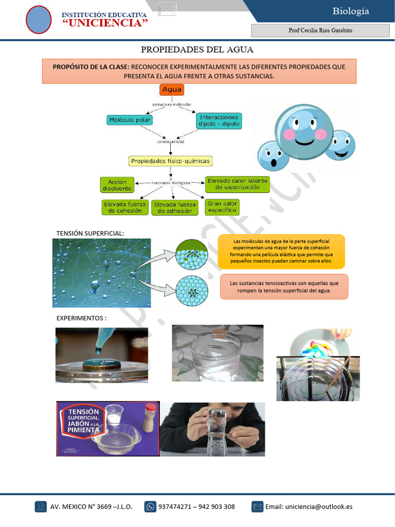 PROPIEDADES DEL AGUA | PDF