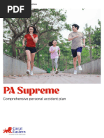 Aia Solitaire Personal Accident | PDF