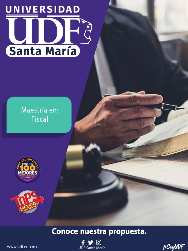 MFI | PDF | Plan de estudios