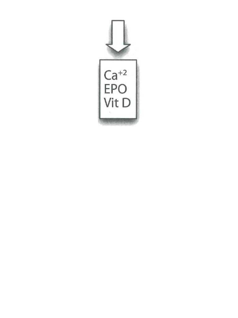 JJJK | PDF
