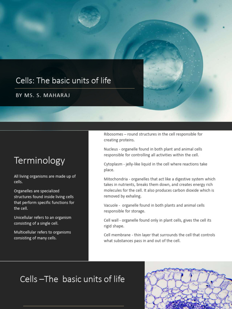 Cells - The Basic Units of Life | PDF | Cell (Biology) | Tissue (Biology)