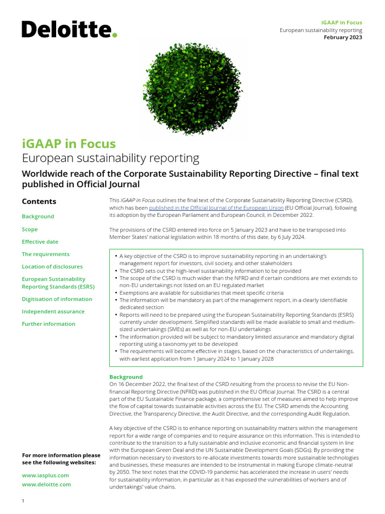 iGAAP in Focus - CSRD | PDF | Audit | Subsidiary